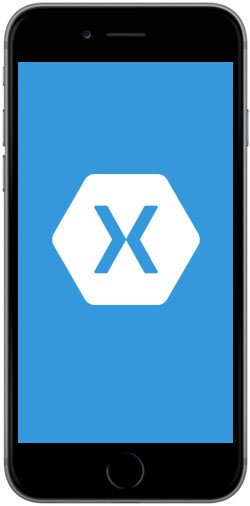 How To Build A Hybrid Mobile App And Why?