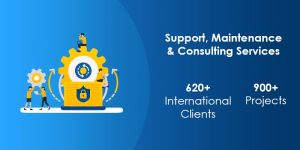 Software Development Consulting Services | Hire Software Developers