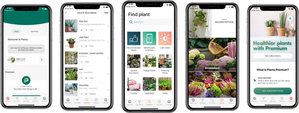 Best Planta App: Let Your Plants Grow Beautifully