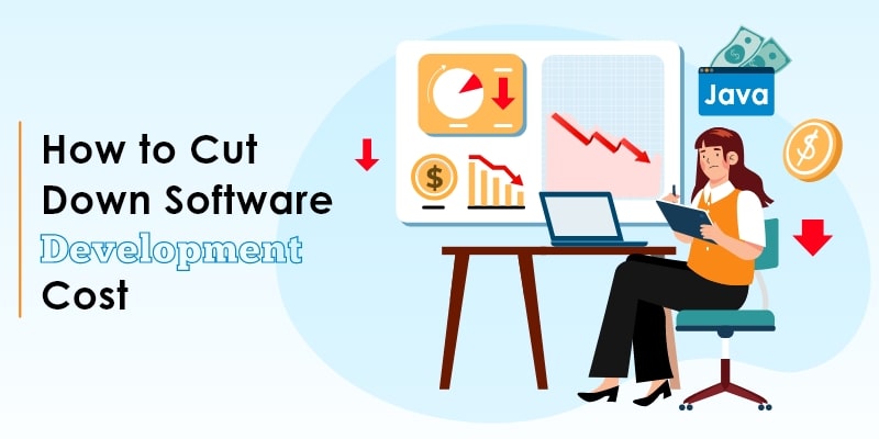 Software Development Cost and Factors Explained 2024